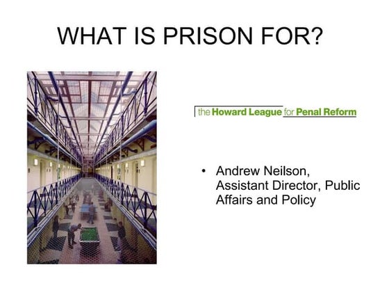 Healthcare in Prison | PPTX | Healthcare Industry | Industries