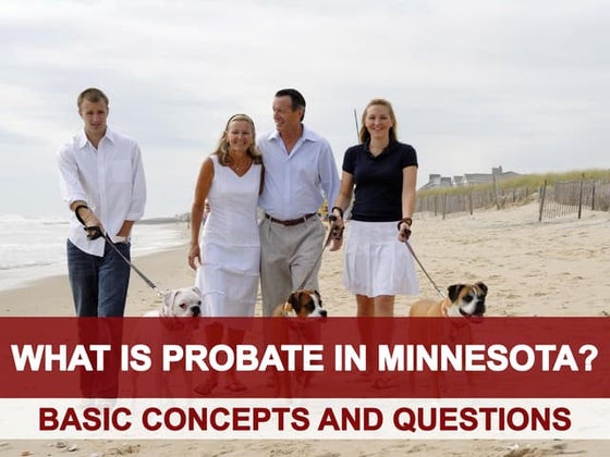 What Is a Minnesota Revocable Living Trust | PDF