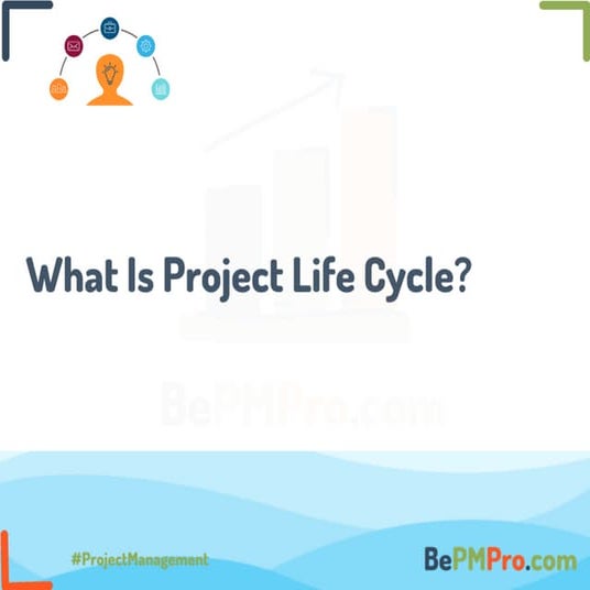 What is Project Life Cycle? | PDF