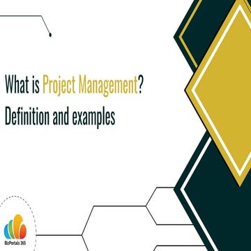 The 4 P’s Of Project Management.pdf