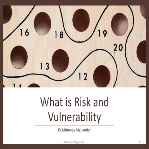 What is Risk and Vulnerability.pdf