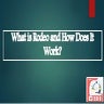 What is rodeo and how does it work | PPT