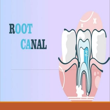 What is root canal | PPT