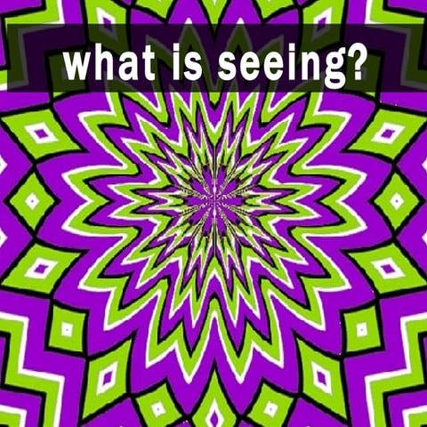 What Is Seeing | PPT
