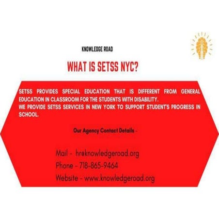 What is SETSS? | PDF
