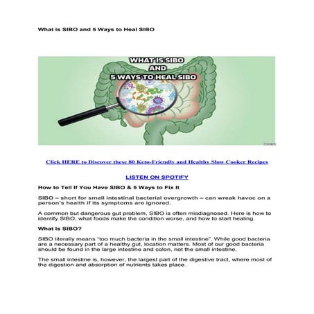 What is SIBO and 5 Ways to Heal SIBO.pdf | Digestive Disorders ...