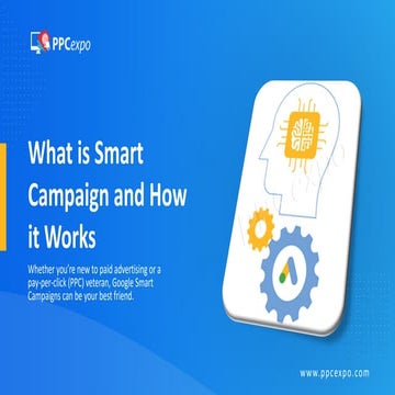 What is Smart Campaign and How it Works? | PDF