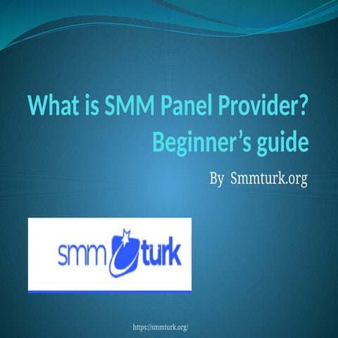 What is SMM Panel Provider Beginner’s guide.pptx