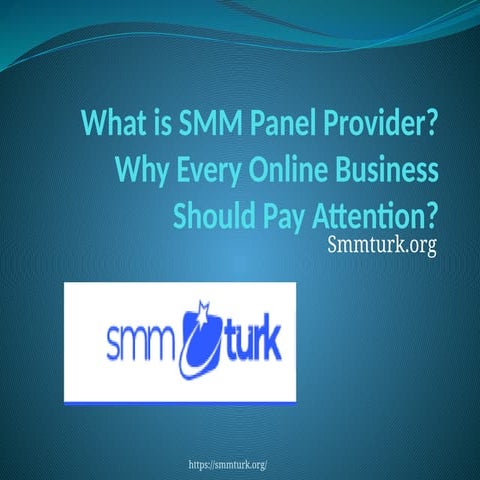 What is SMM Panel Provider Why Every Online Business Should Pay ...