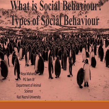 What is Social Behaviour.pptx
