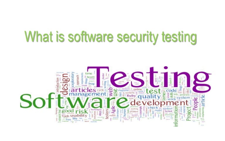 What is software security testing