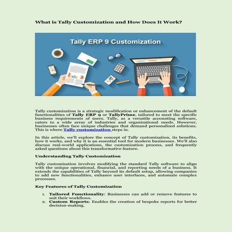 What is Tally Customization and How Does It Work | PDF