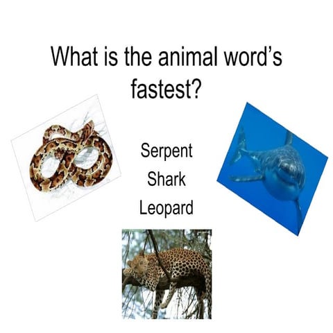 What is the animal word’s fastest...? | PPT | Large Animals | Pets