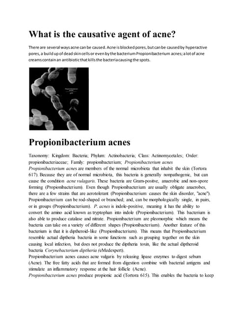 5. Acne Pharmacology | PPT