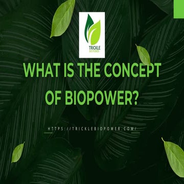 What are some advantages of biopower.... | PDF