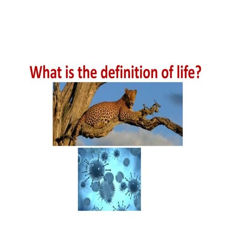 What is the definition of life | PDF | Biological Sciences | Science