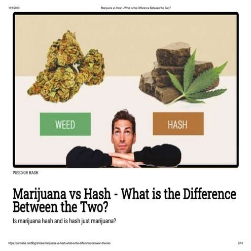 What is the Difference Between Hashish and Marijuana? | PPT