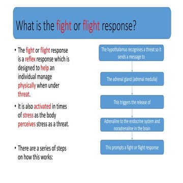 What is the fight or flight response final | PPTX