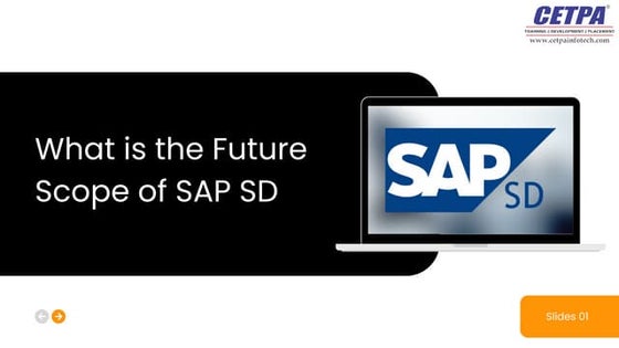 All The Basics You Need To Know About ETABS | PDF