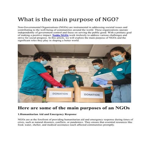 What is the main purposes of NGOs.pdf