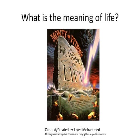 What is the Meaning of Life | PPTX