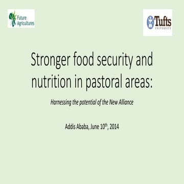 What is the New Alliance? | PPTX