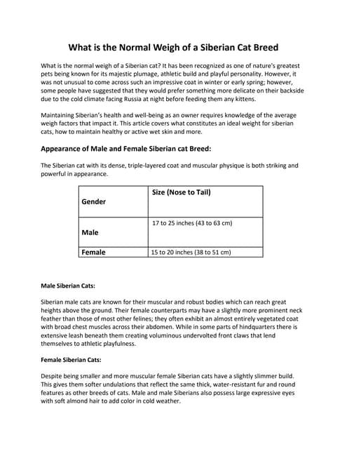Siberian Cats Weight: Understanding the Average Weigh | PDF