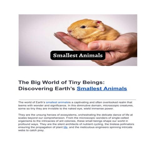 What is the smallest animal in the world_.pdf