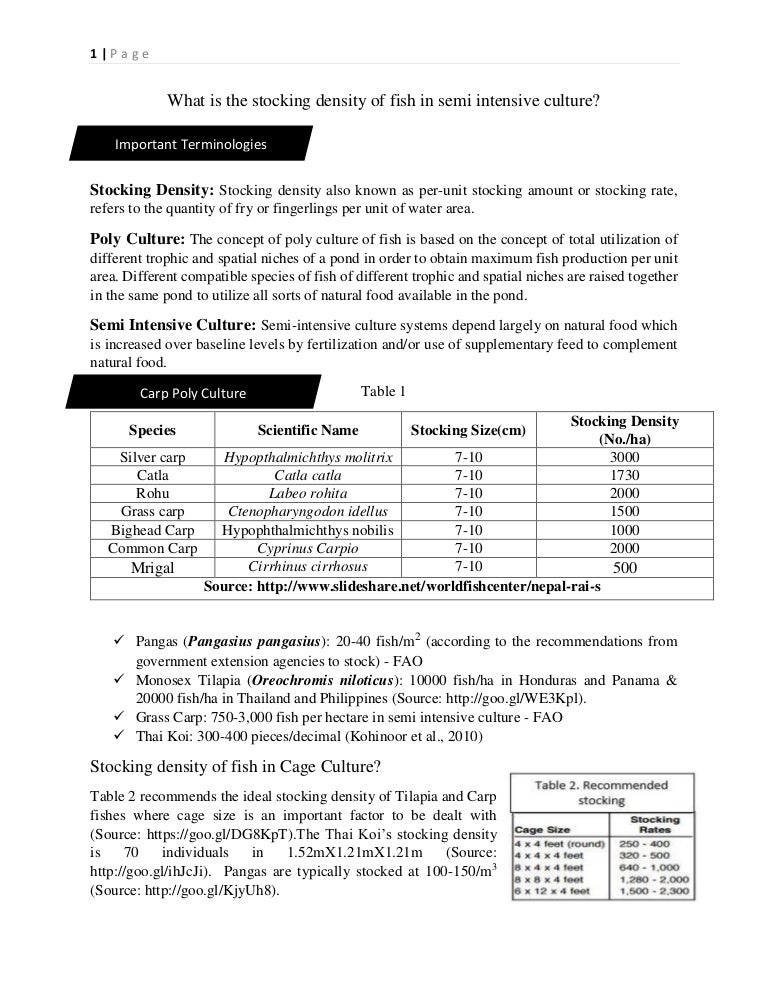 What is the stocking density of fish in semi intensive culture