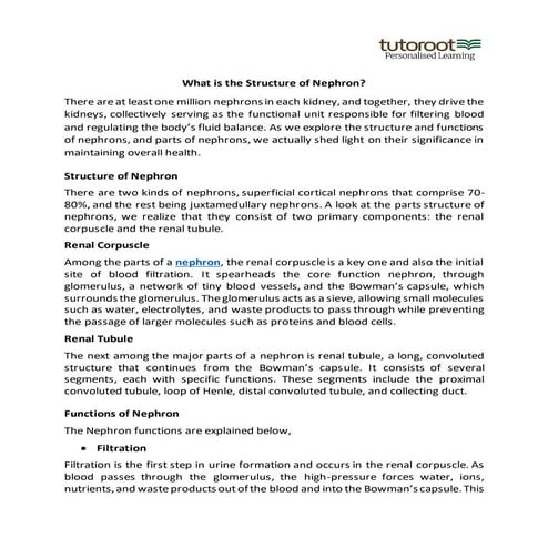 What is the Structure and Functions of Nephron? | PDF