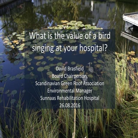 David Brasfield: What is the value of a bird singing at your hospital ...