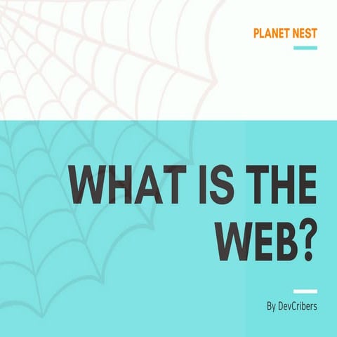 What is the web? | PDF