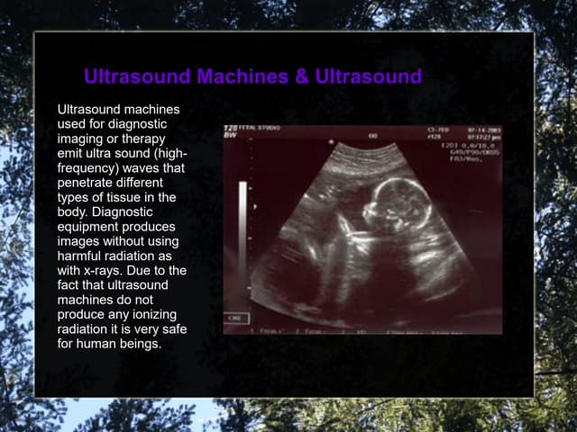 Understanding Ultrasound Scans A Comprehensive Guide.pdf