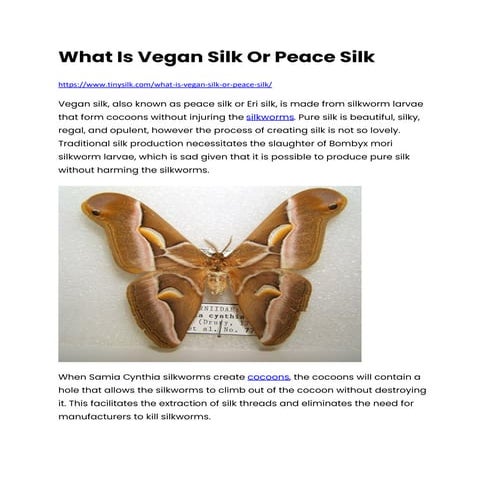 What Is Vegan Silk Or Peace Silk | PDF