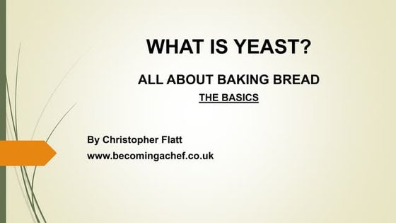 Life cycle of yeast | PPTX | Biological Sciences | Science