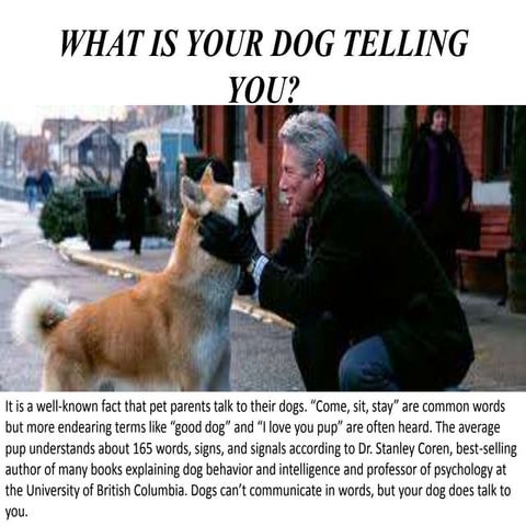 WHAT IS YOUR DOG TELLING YOU? | PPTX