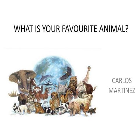 What is your favourite animal ? | PPTX