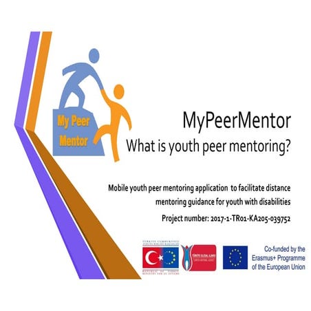 What is youth peer mentoring? | PDF