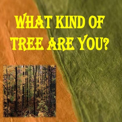 What kind of tree are you | PPT