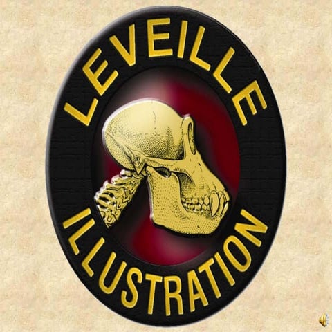 What Leveille Illustration Does | PDF