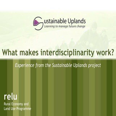 What makes interdisciplinarity work? | PDF