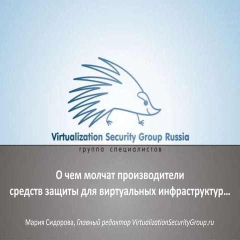 What producers of virtual infrustructures security (protection) are ...