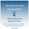 Whats-new-in-GINA-2021_final_V2.pdf