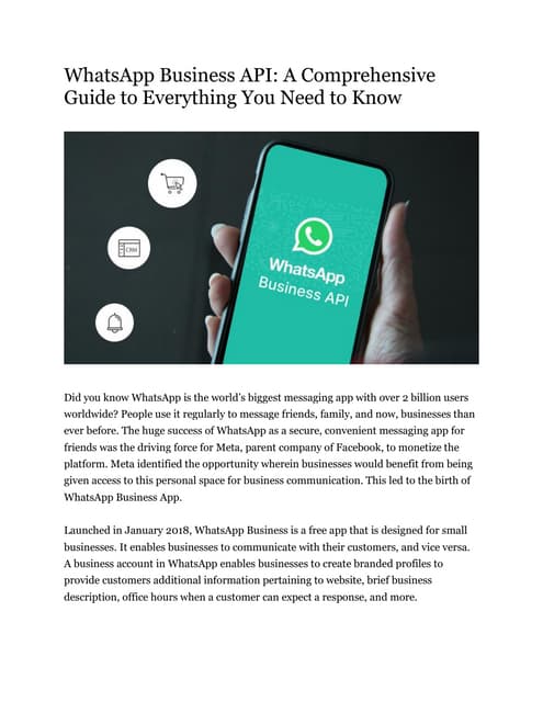 Dove Soft WhatsApp Business API | PPTX | Business | Business and Finance