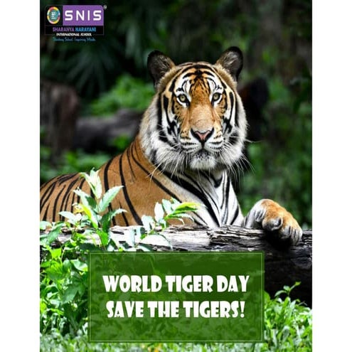 World Tiger Day | PDF