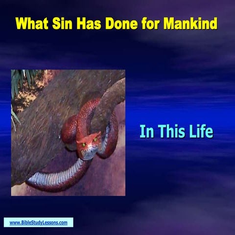 The consequences of sin | PPTX
