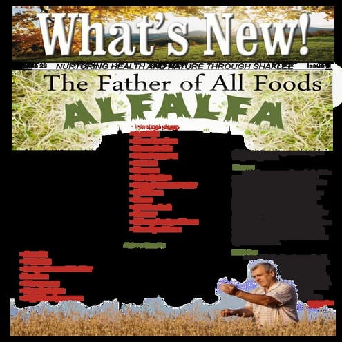 Whats New Volume28 Issue8 | PDF