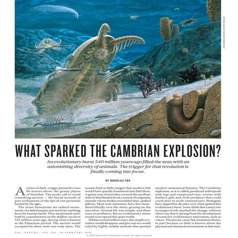 What sparked the cambrian explosion 2016 | PDF