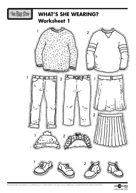 Whats She Wearing Ws2 | PPT