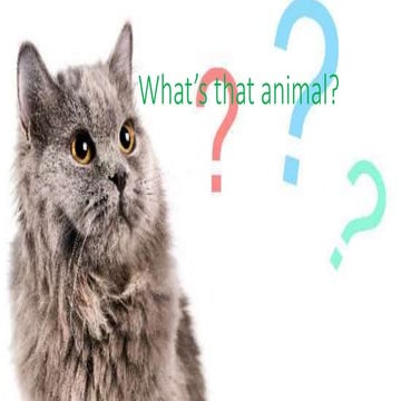 What's that animal? | PPTX